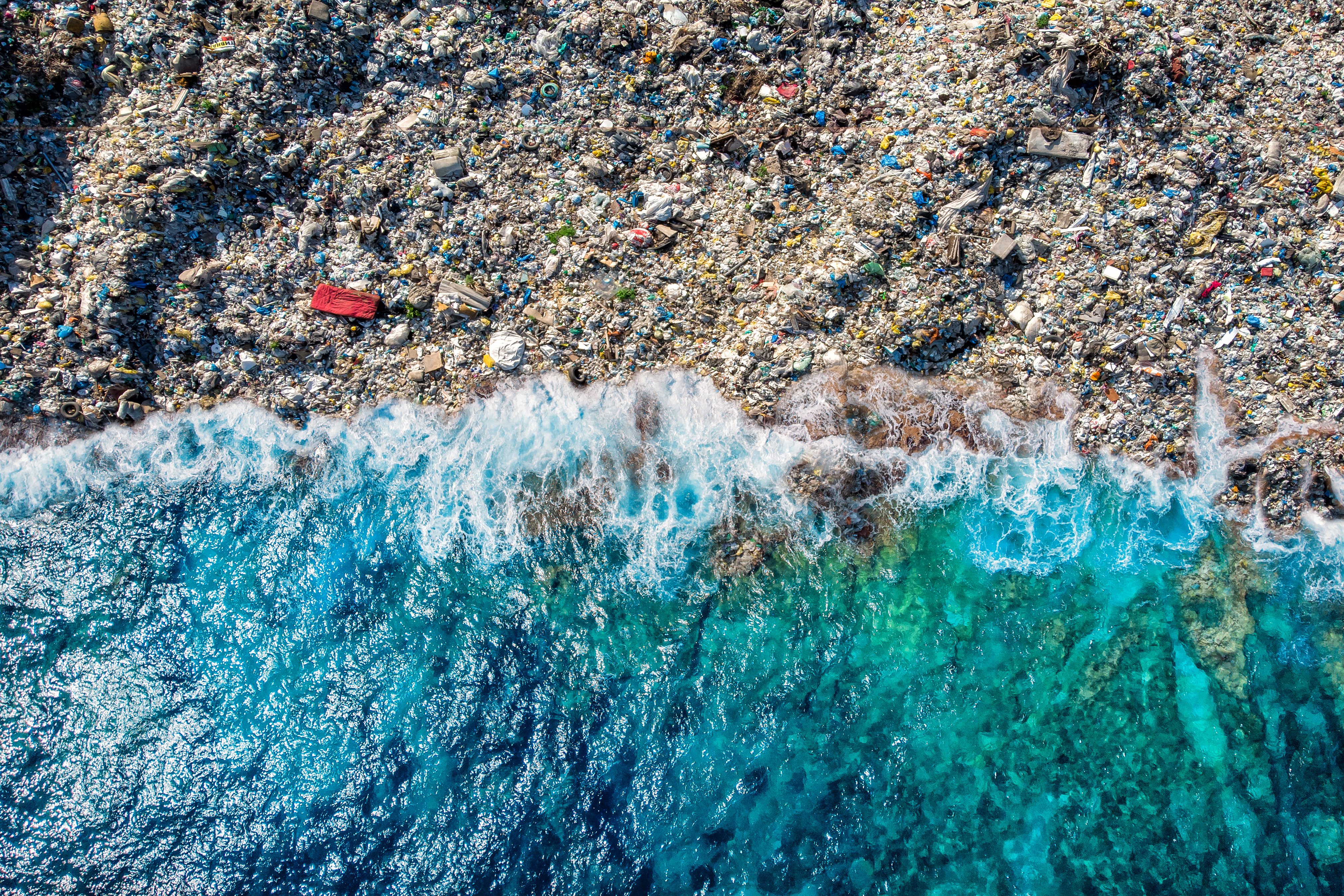 World Oceans Day: Tackling the Global Plastic Crisis and Protecting Our ...